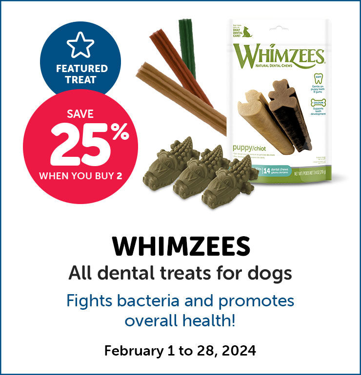 Dog Treats and Snacks - Mondou | Mondou