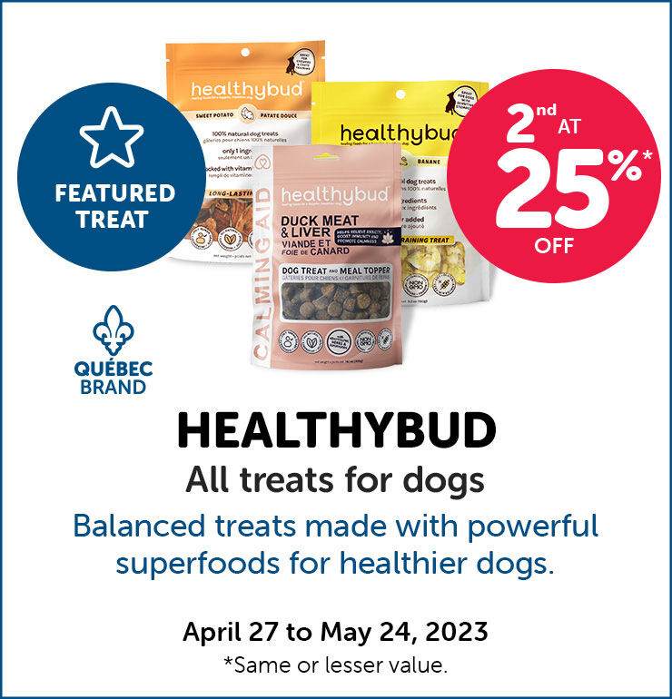 Dog Treats and Snacks - Mondou | Mondou