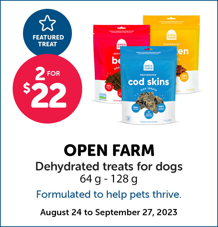 Featured treat | Mondou