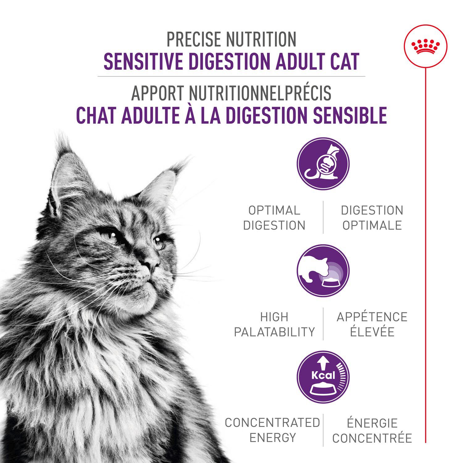 Feline Health Nutrition™ Sensitive Digestion Dry Adult Cat Food Royal ...