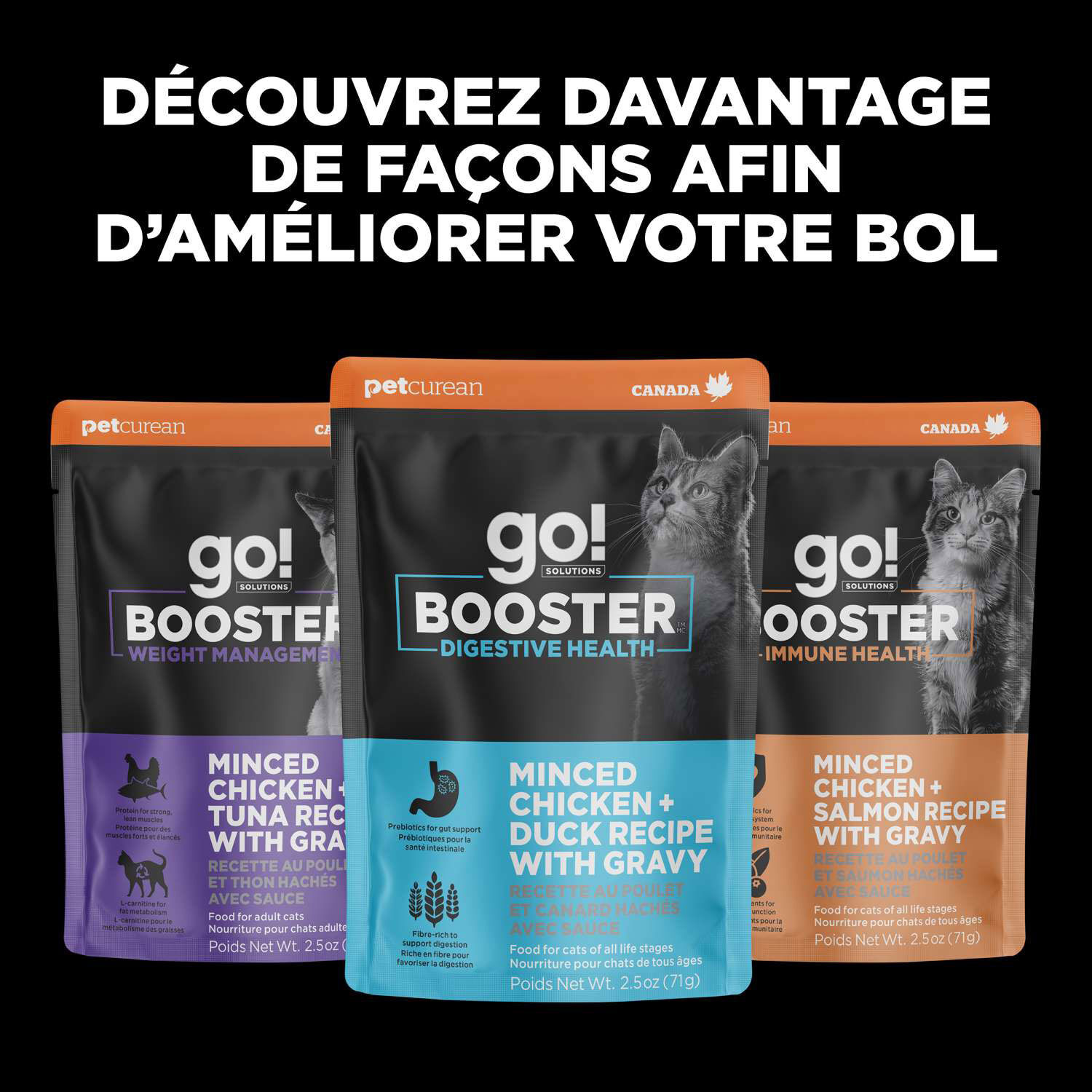 Booster Brain Health Tuna and Salmon Pâté for Cats, 71 g Go! Solutions ...