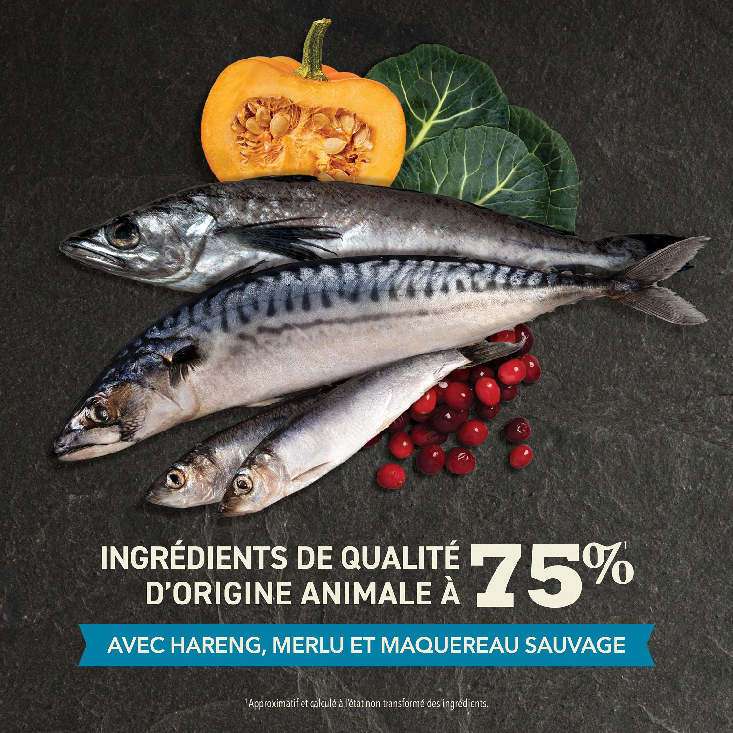 Recette Pacifica Plus forte teneur en protéines pour chats, 1,8 kg