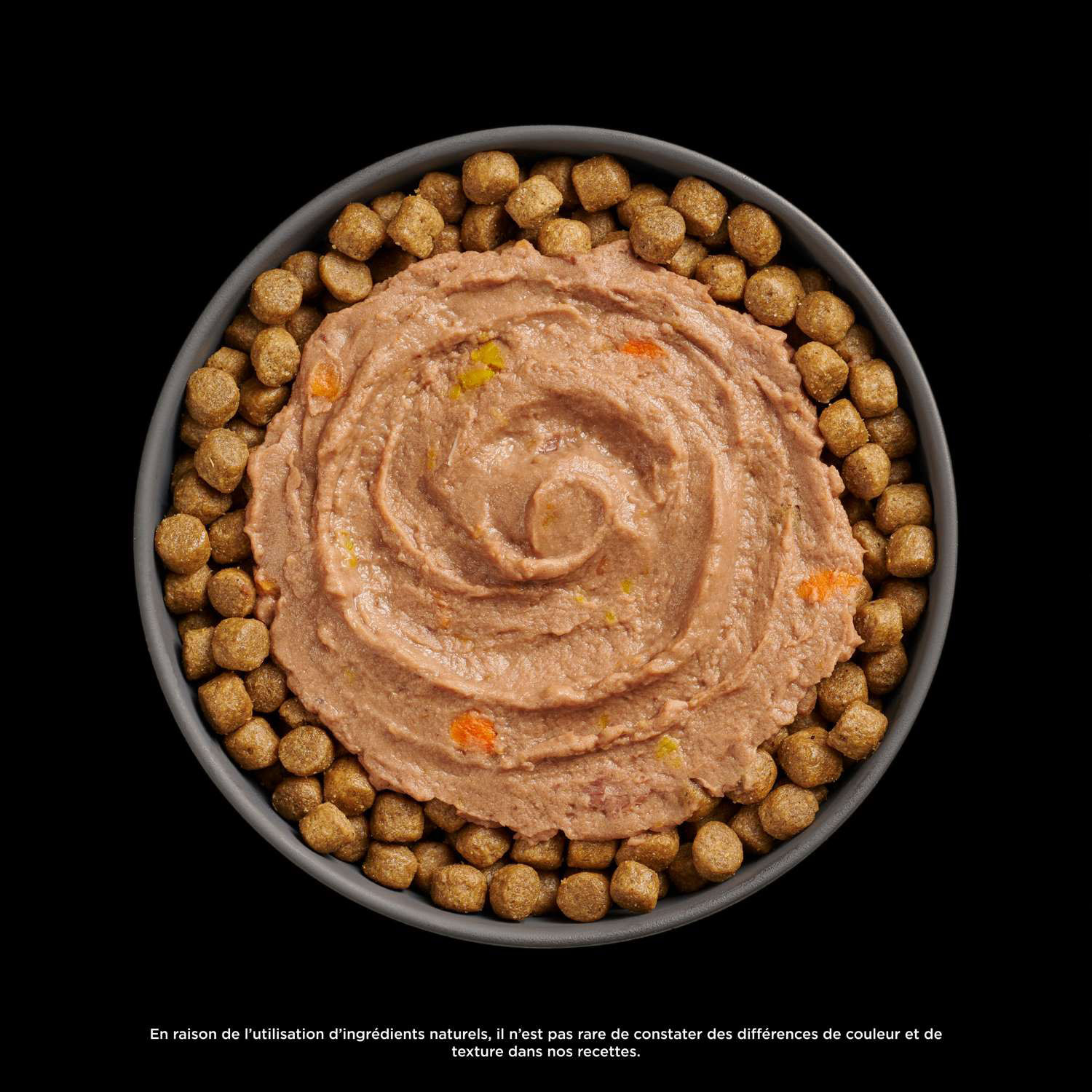 Booster Brain Health Tuna and Salmon Pâté for Cats, 71 g Go! Solutions ...