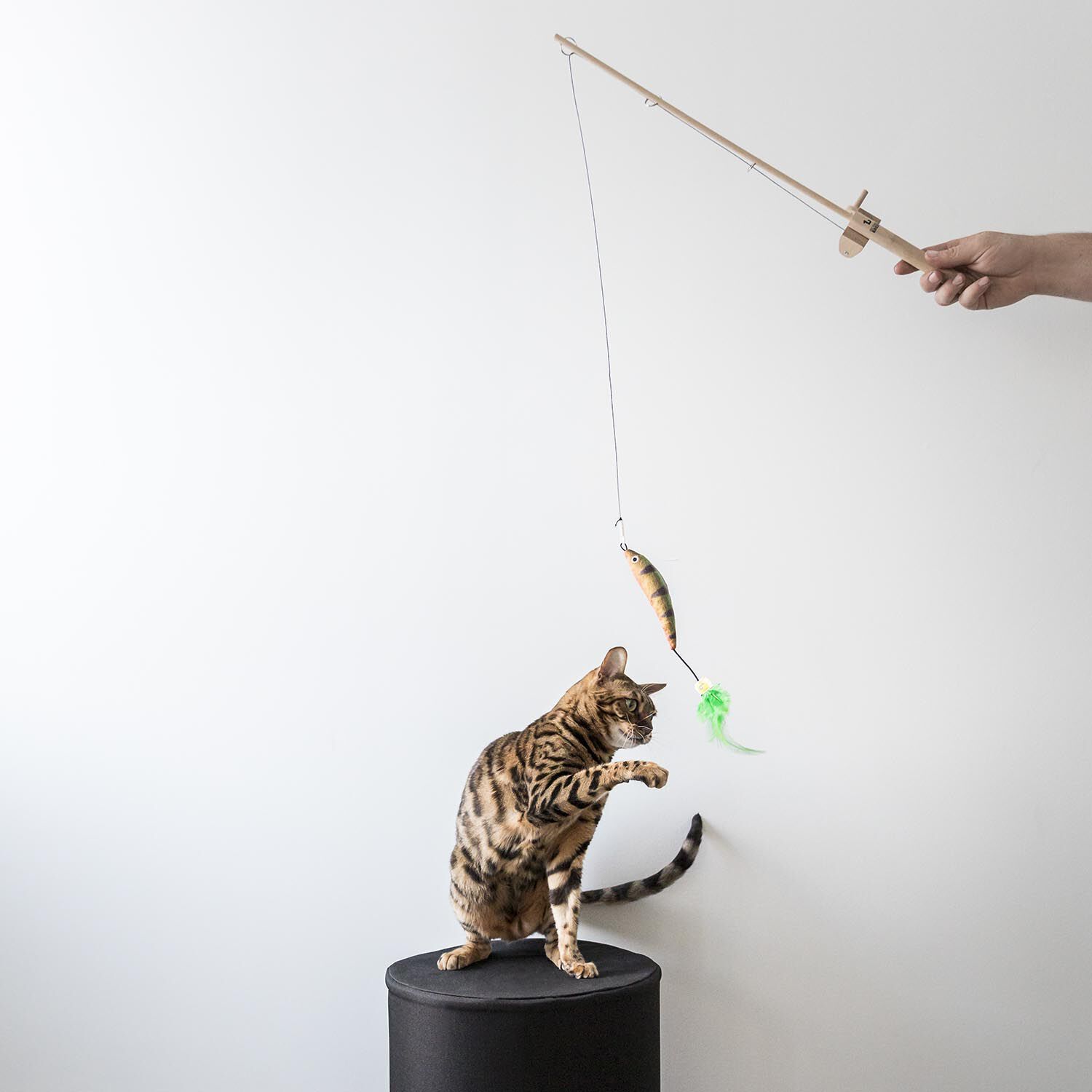 Toy Fishing Rod for Cats BeOneBreed MUL | Mondou