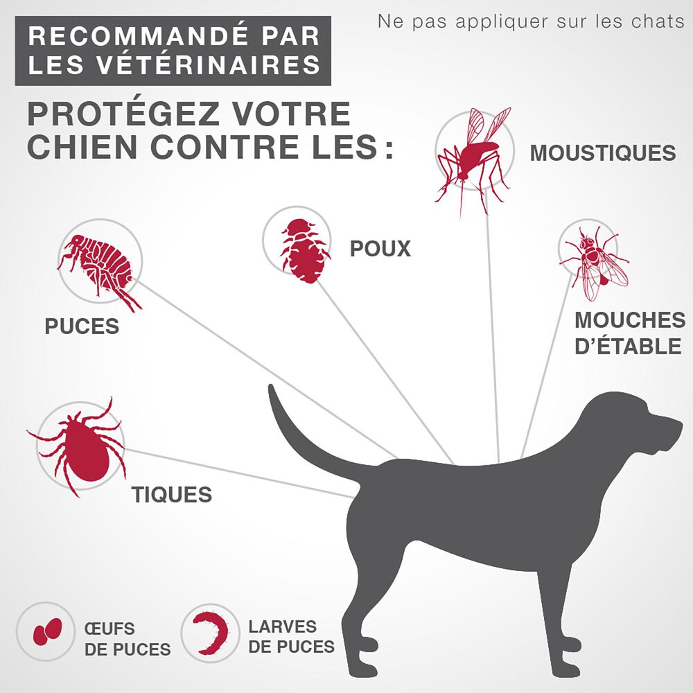 Protection topique puces et tiques pour chiens 25+ kg, 6 un