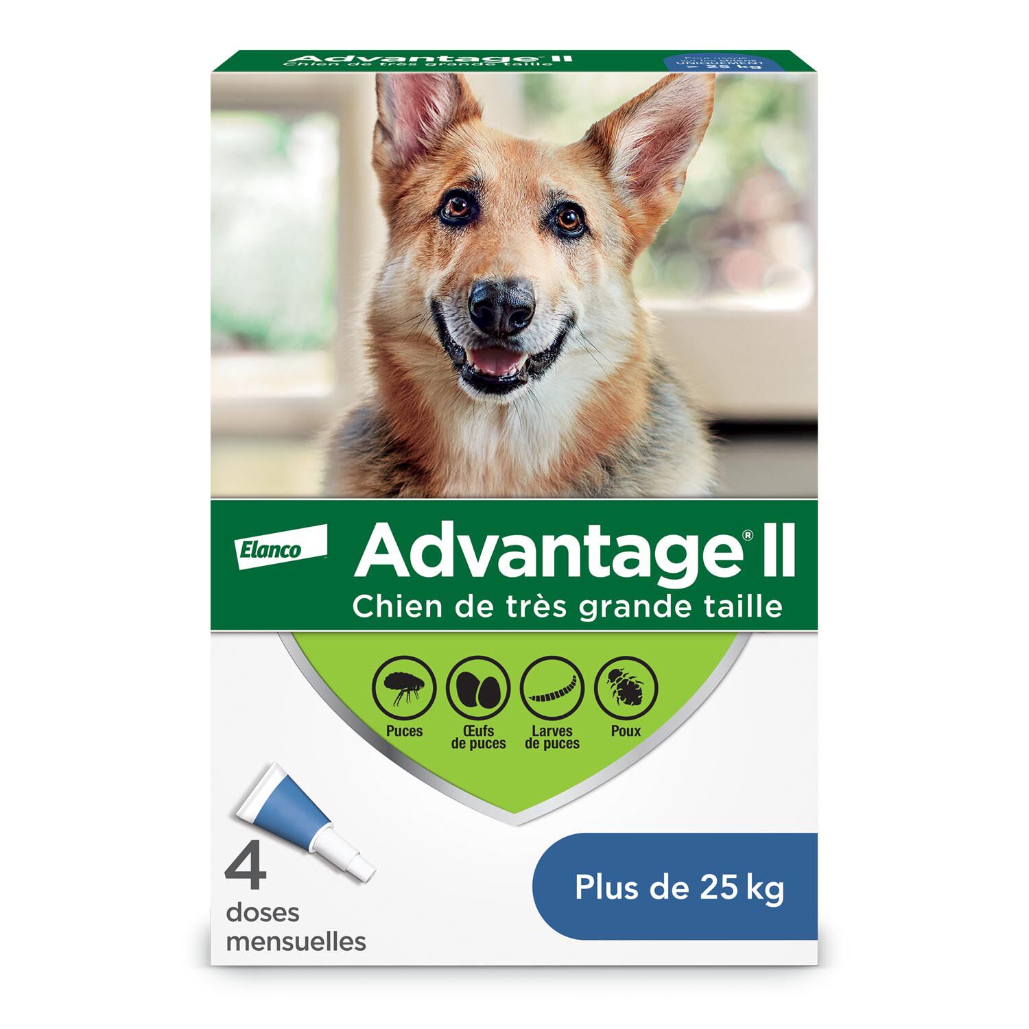 Protection topique puces et poux pour chiens + de 25kg, 4 un