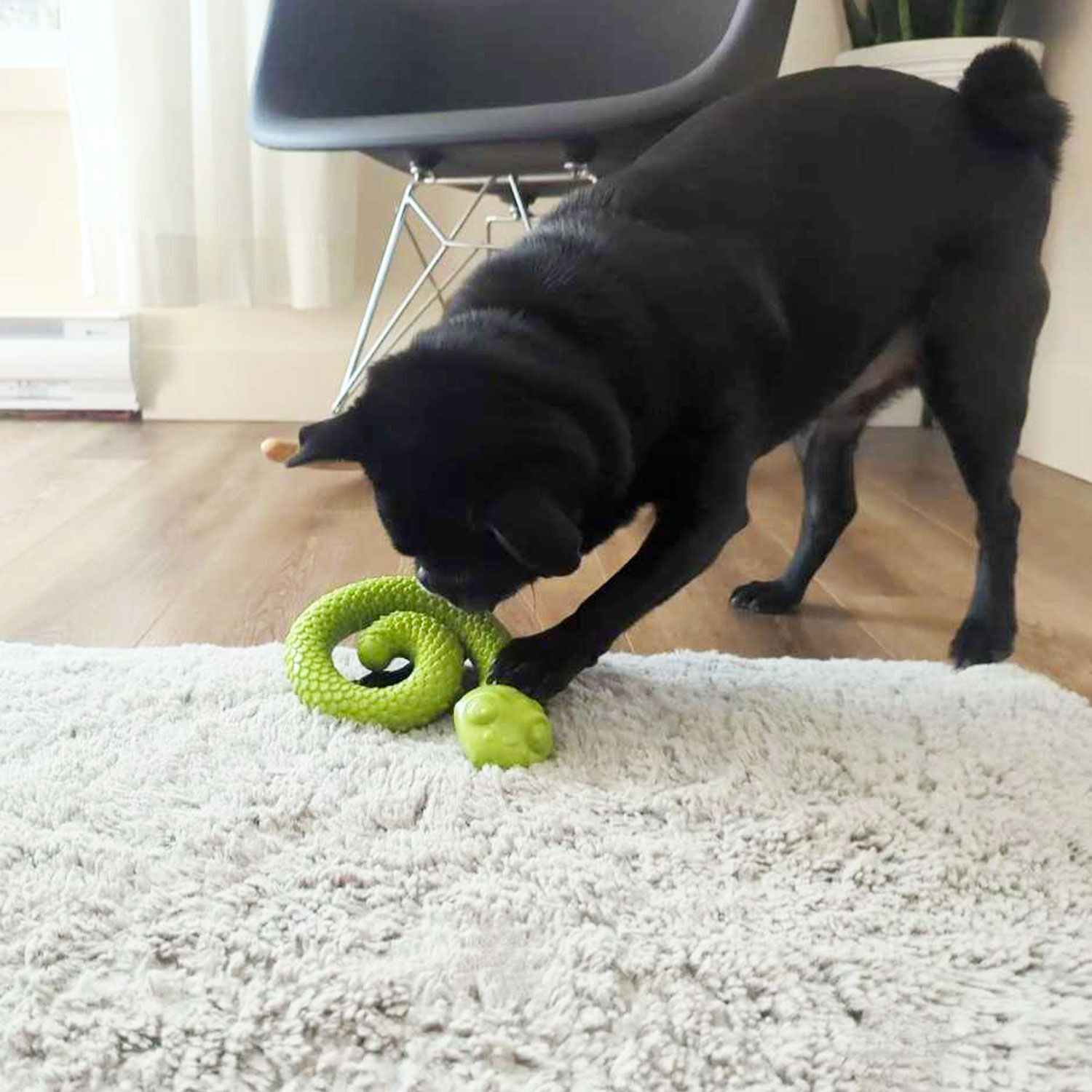 Snake Treat DispenserToy for Dogs BeOneBreed | Mondou