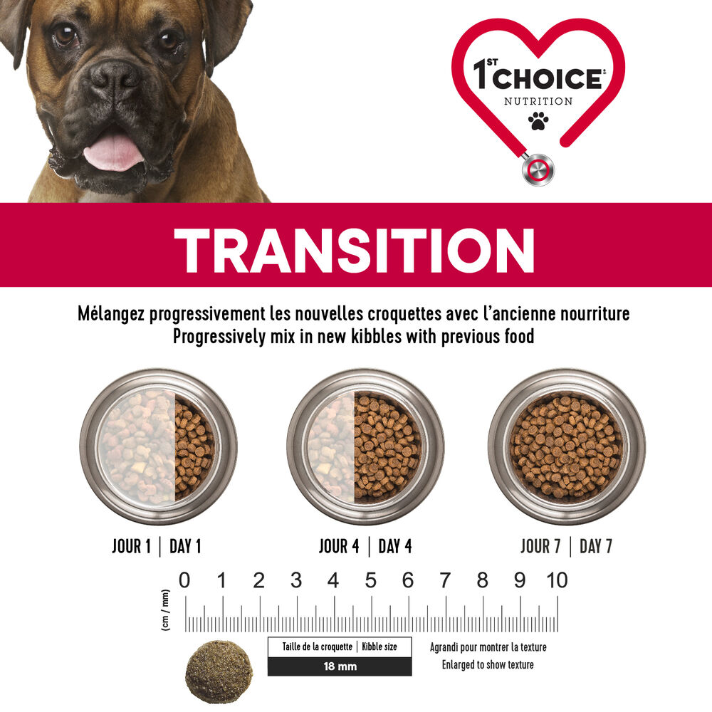 Formule peau et pelage pour chien moyenne et grande races à l'agneau et ...