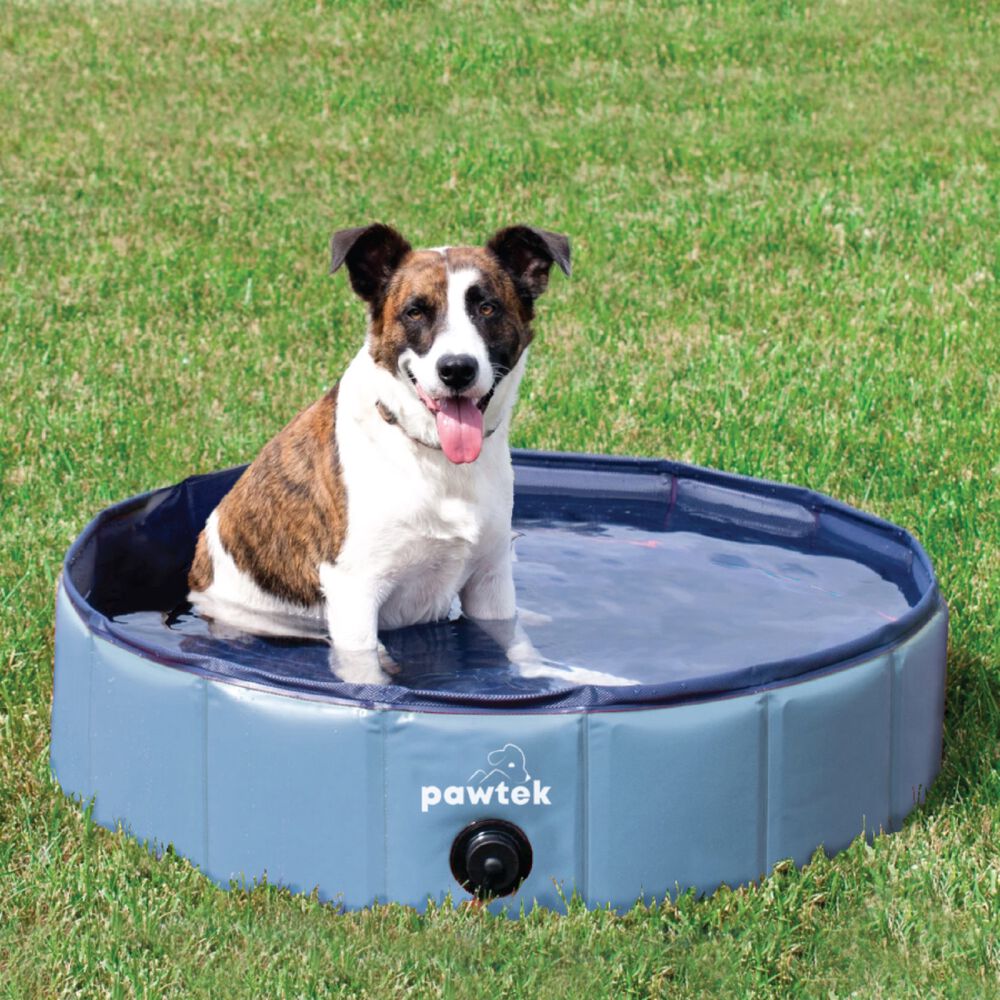 Piscine portable et pliable