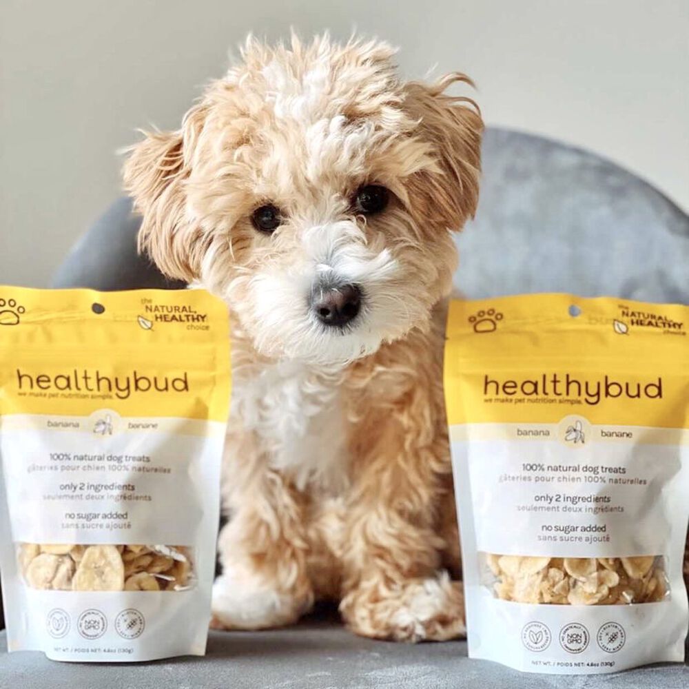 Human-grade banana crisps for dogs Healthybud 004 | Mondou