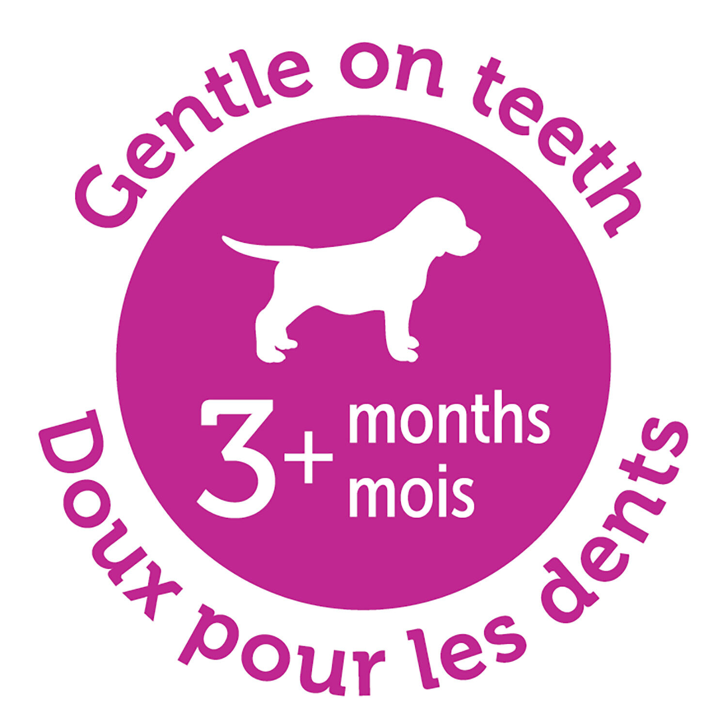 Anneaux dentaires pour chiots, 209 g