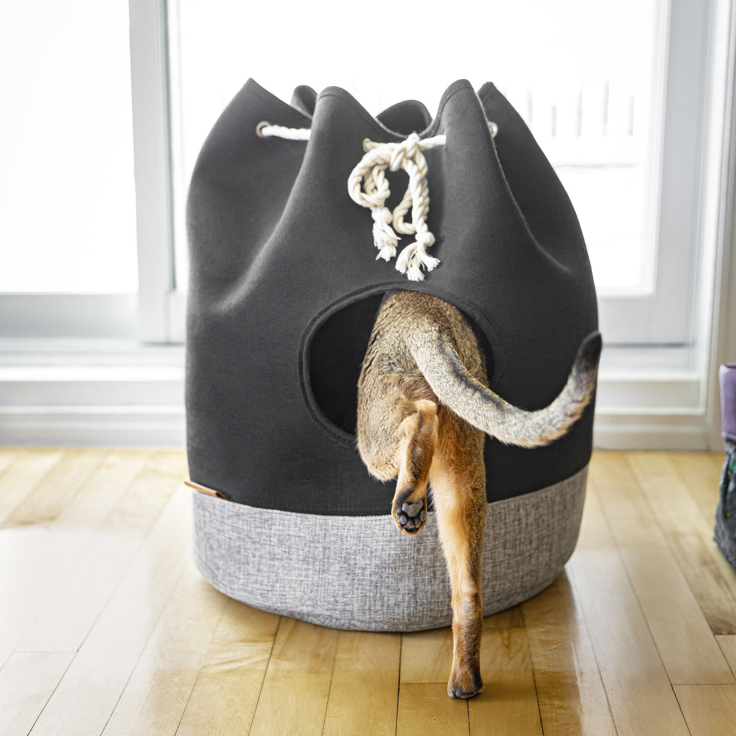 Cachette pour animaux