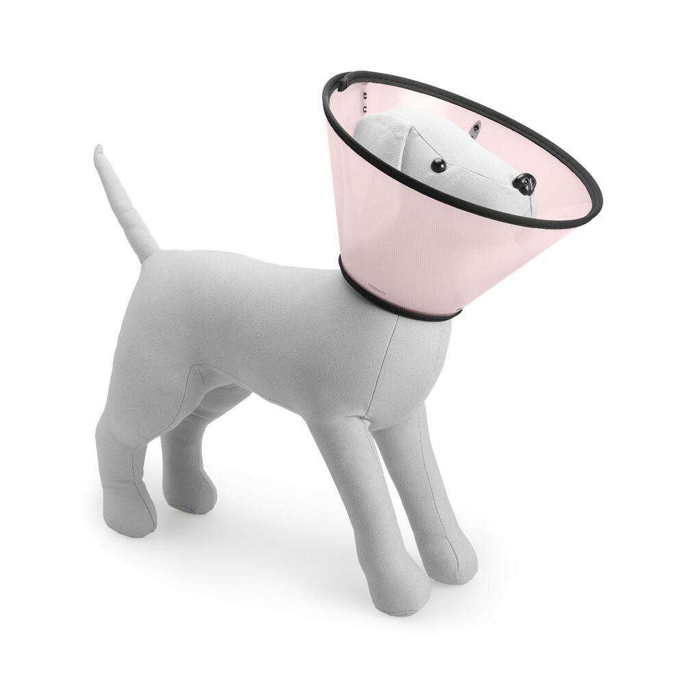 Collier Élizabeth pour animaux