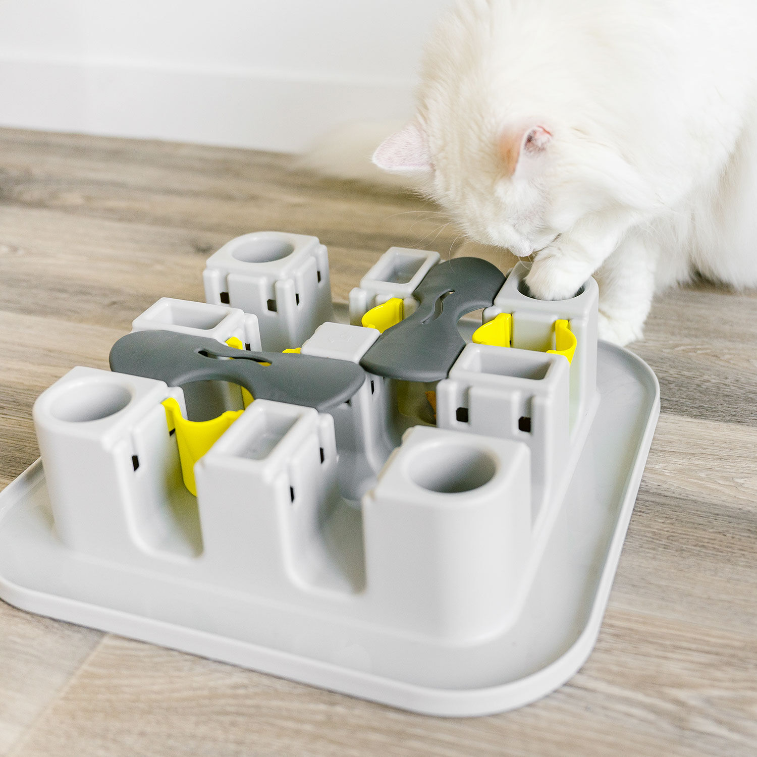 Labyrinthe Pour Chat En Carton – IVMR