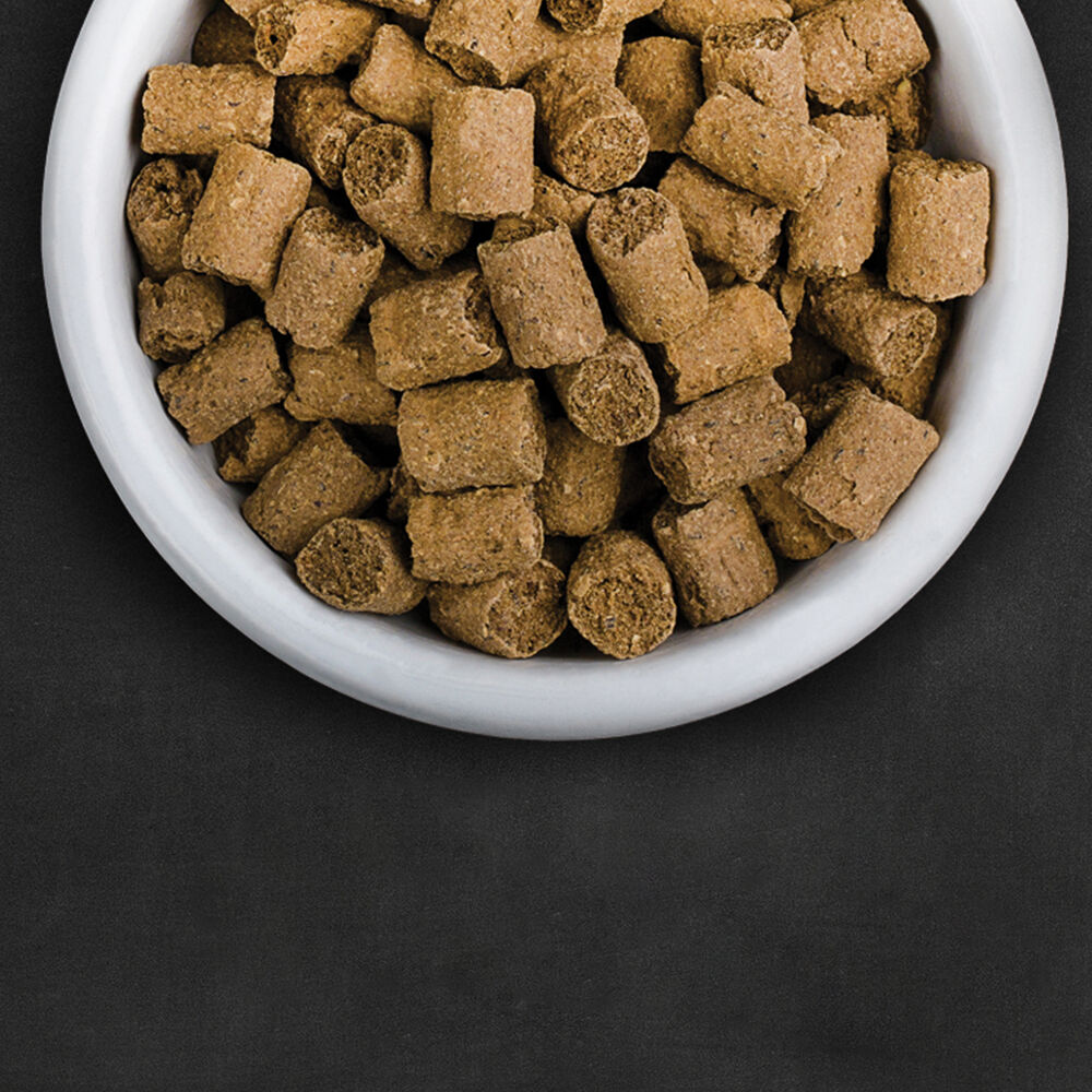 Grain-Free Fish Dehydrated Dog Food, 10 kg CaniSource | Mondou