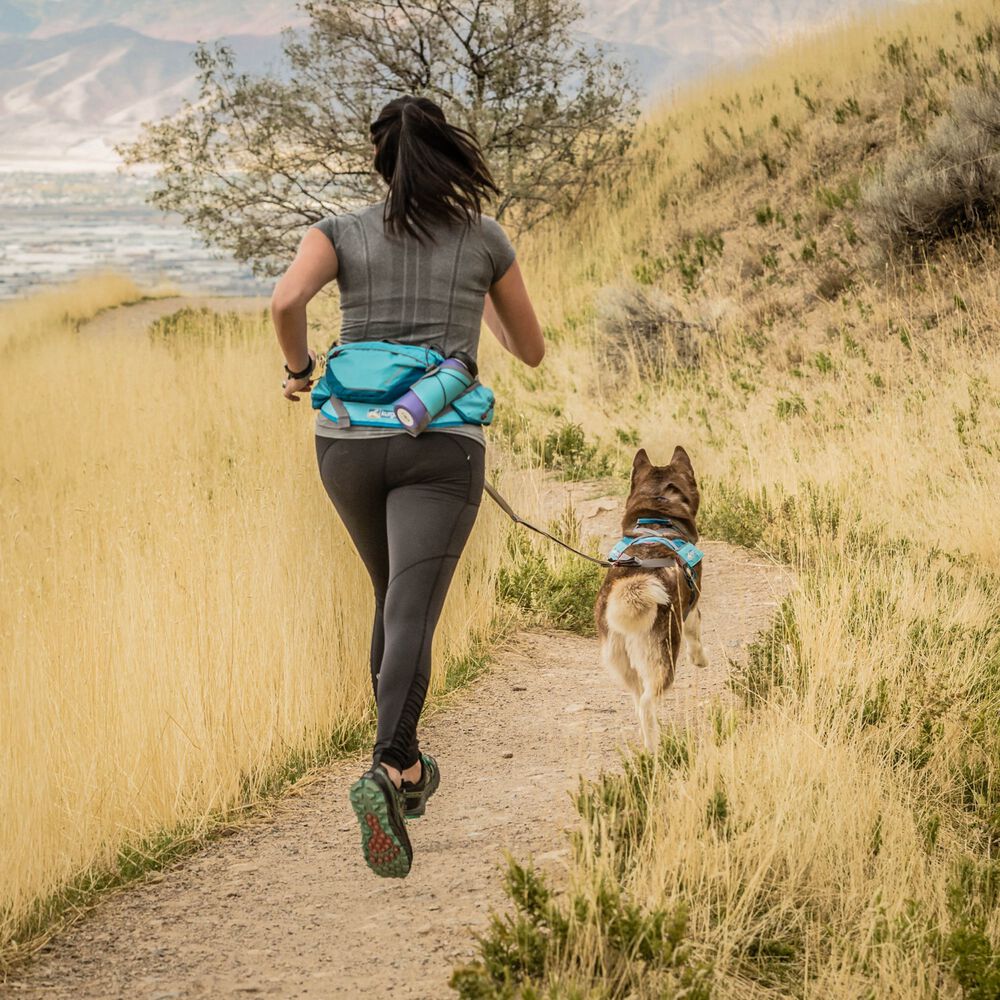 Long Hauler Human Pack Belt Kurgo BLU | Mondou