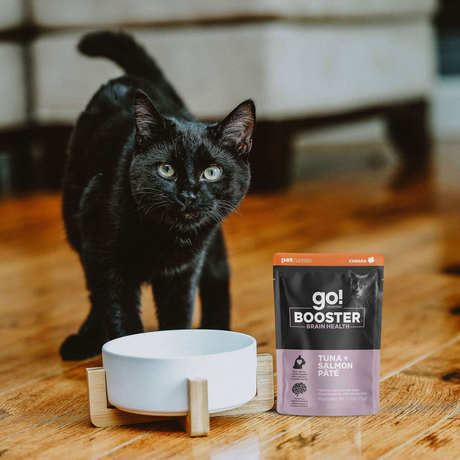 Booster Brain Health Tuna and Salmon Pâté for Cats, 71 g Go! Solutions ...