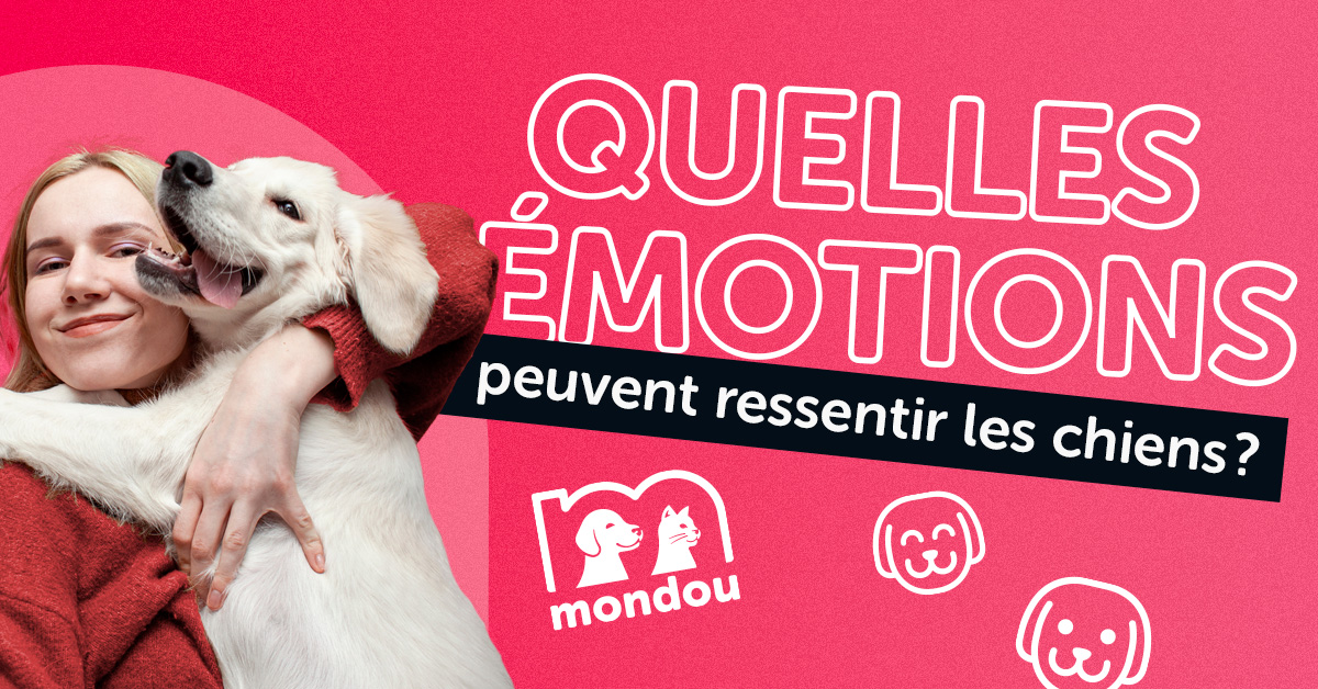 Quelles émotions peuvent ressentir les chiens?