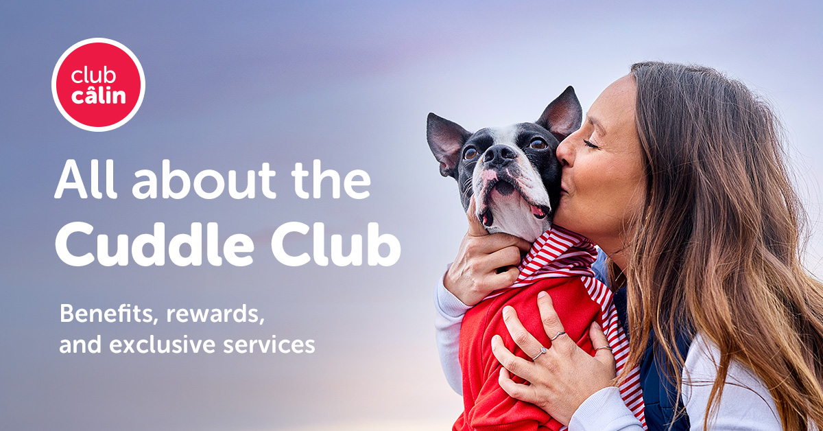 All about the Cuddle Club: benefits, rewards, and exclusive services