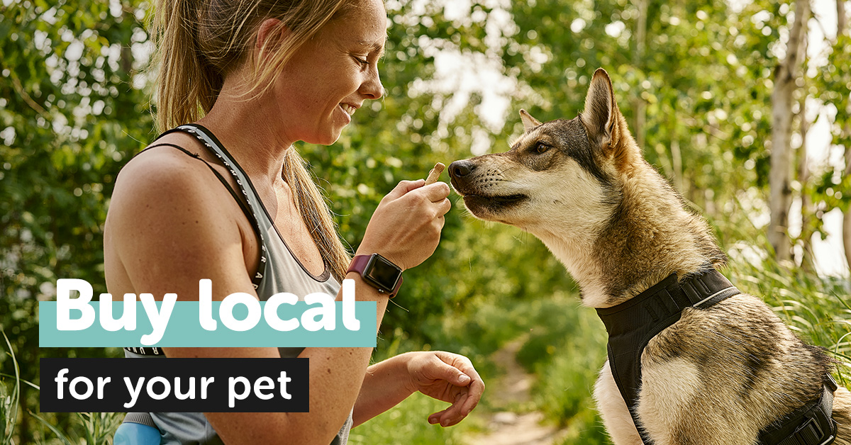 How your pet can help you be a local consumer?