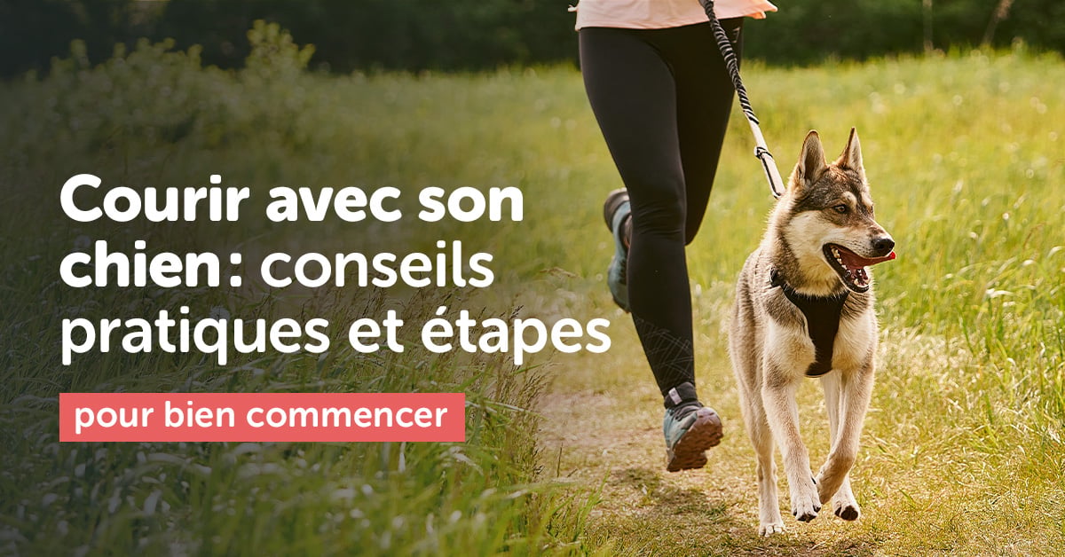 Courir avec son chien : conseils pratiques et étapes pour bien commencer