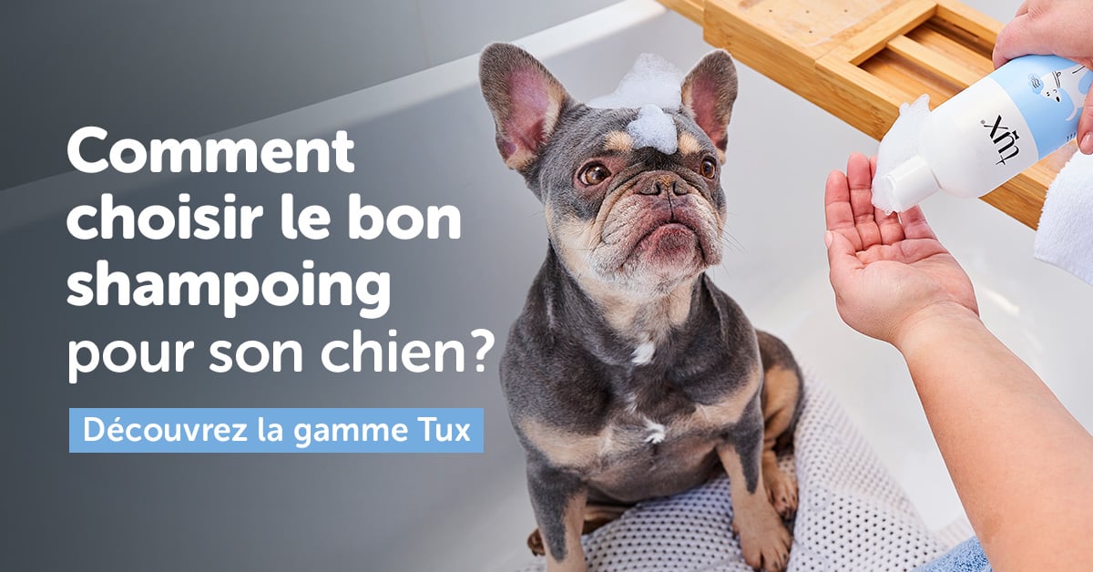 Comment choisir le bon shampoing pour son chien? Découvrez la gamme Tux