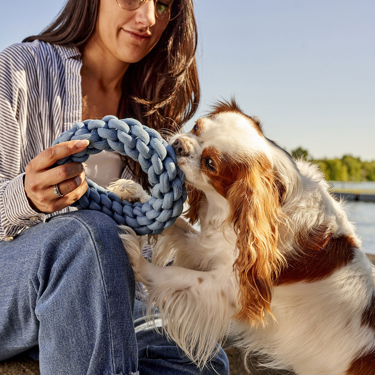 Round Rope Dog Toy Bozzy BLU | Mondou