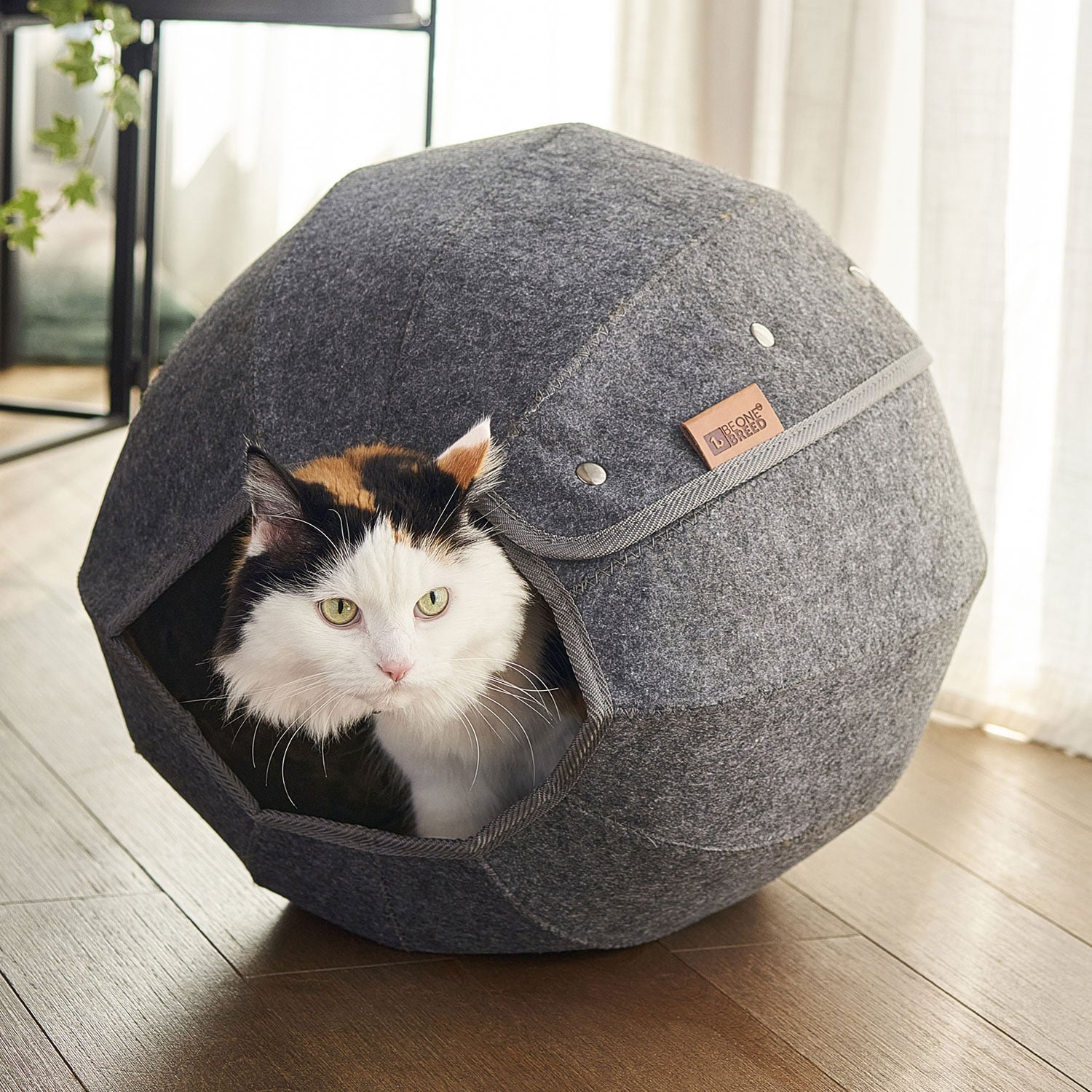 Cat Felt Sphere BeOneBreed | Mondou